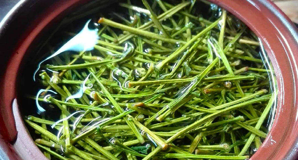 How to Make Weed Stem Tea | Green Stem Provisioning