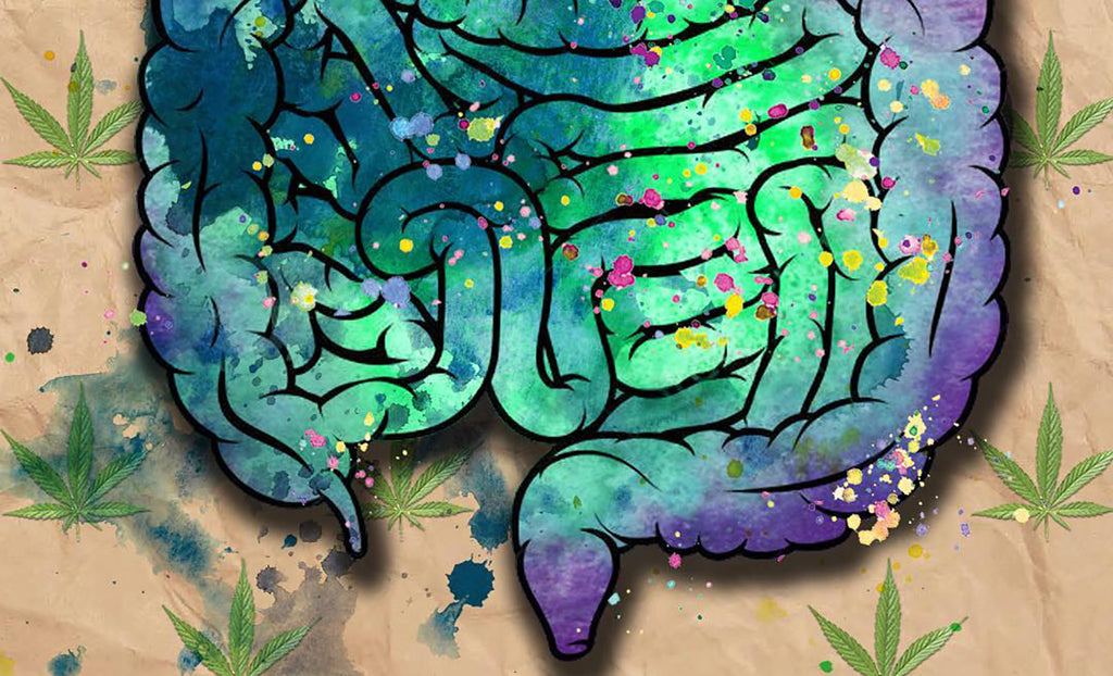 Amazing Reasons Why CBD Oil Could Help Your IBS