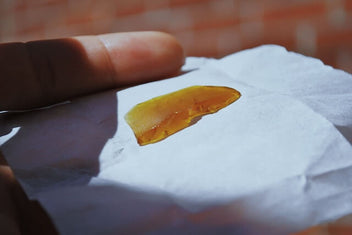 Perfecting the Art: How to Make Cannabis Hash Rosin