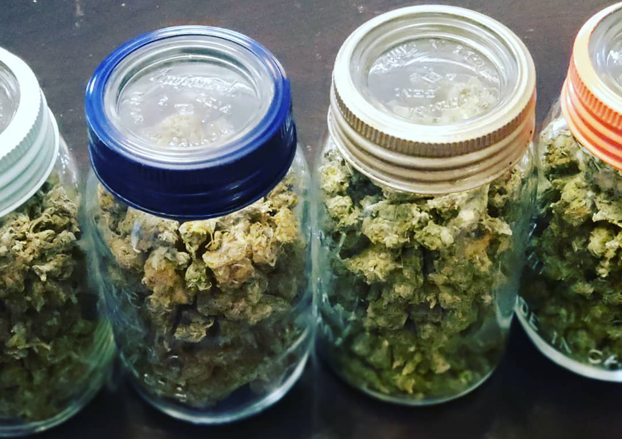 The Amazing Way to Store Weed | Keep Cannabis Storage