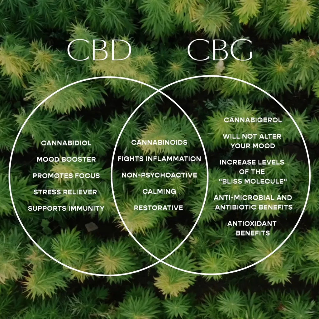 CBD vs CBG: Uncovering the Differences and Benefits