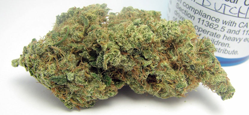 Dutch Treat Haze Strain & Berry Strain